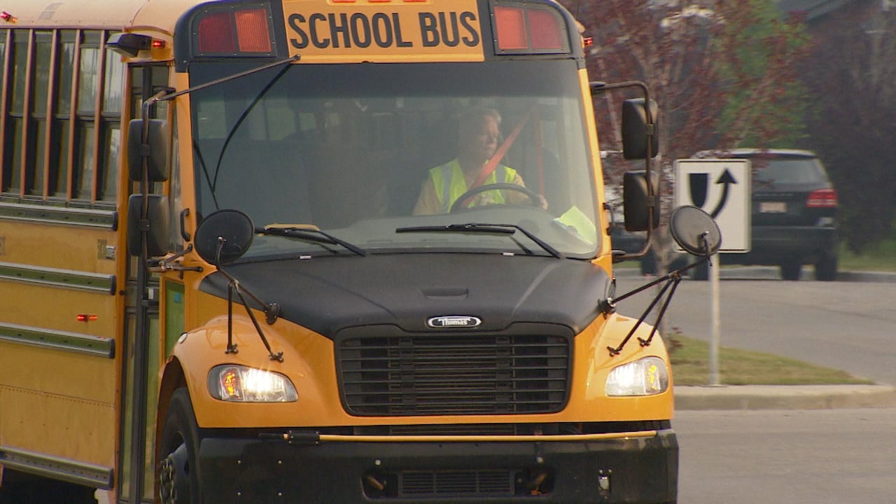 Bus drivers and support staff will be at work during teachers strike