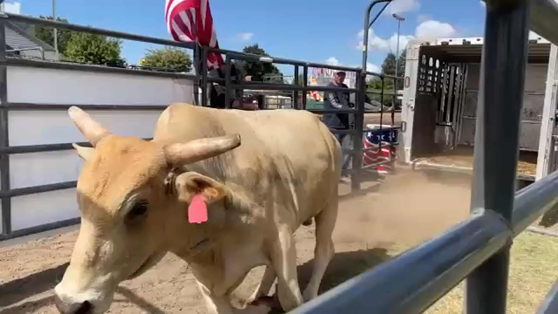 Rodeo returns to Big Fresno Fair, replacing horse racing