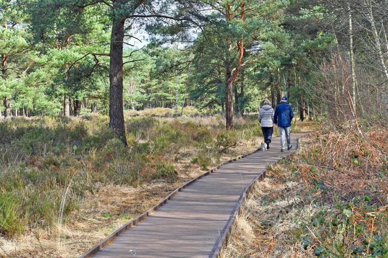 The attractive village squeezed next to Surrey's main commuter town ...