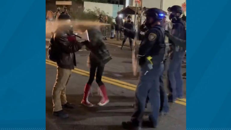 VIDEO: Federal agents pepper-sprayed protesters outside Portland ICE ...