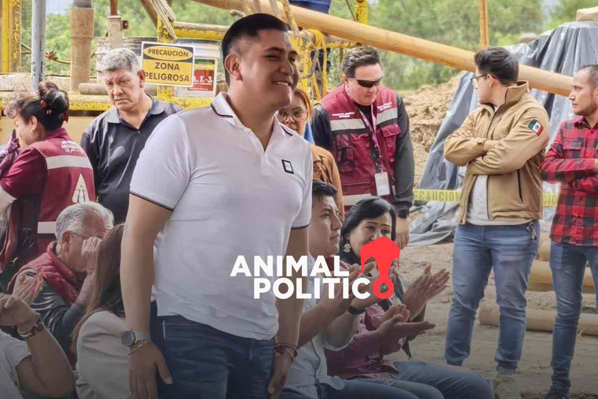 Morena va contra memes y stickers: diputado pide castigar a quien cree ...