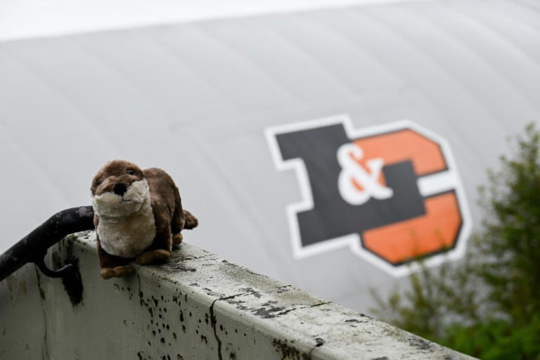 ‘Otterly obvious’: Lewis & Clark College moves away from ‘Pioneer’ mascot