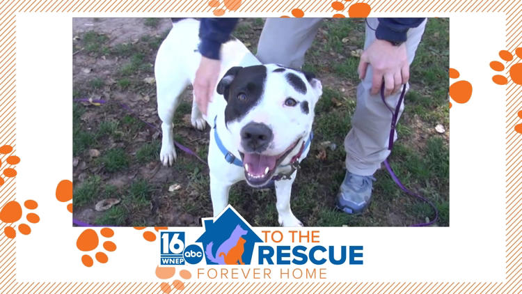 16 To The Rescue: Bob