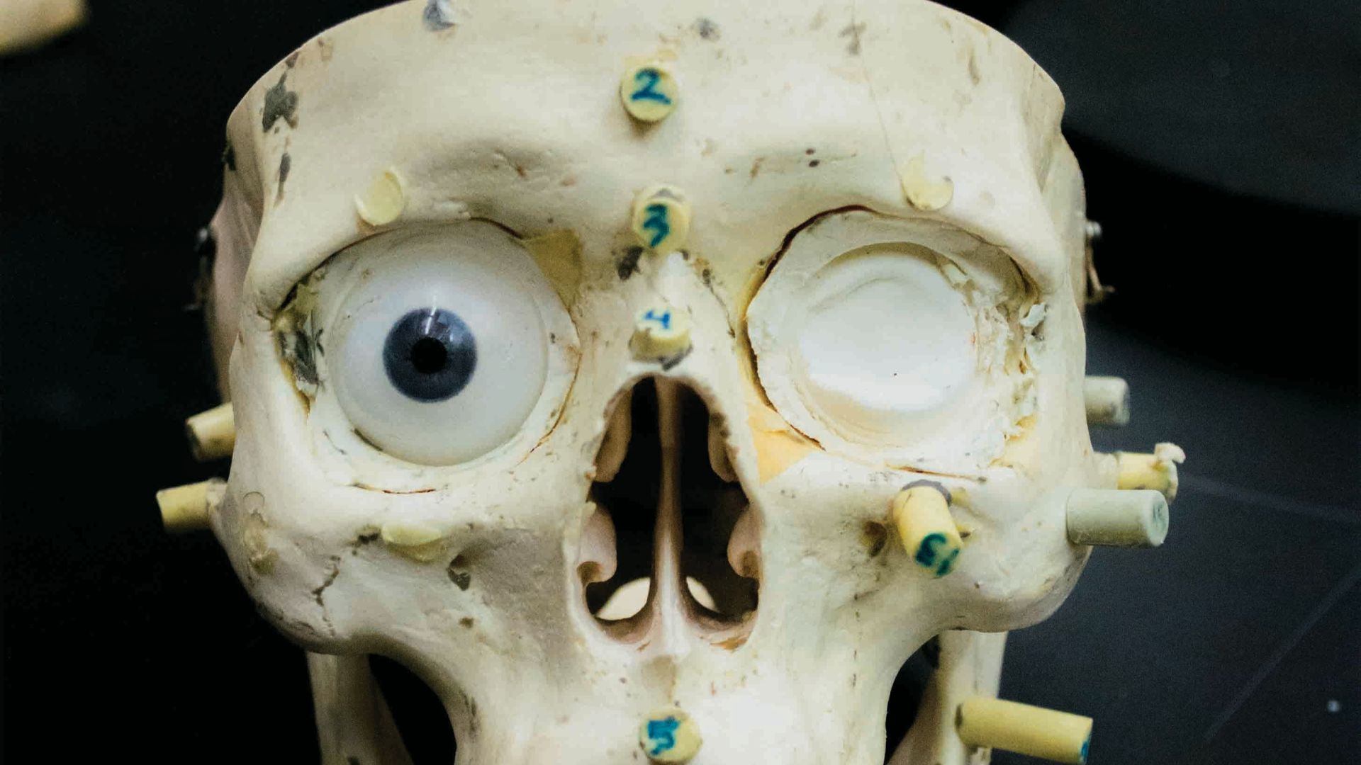 10 Facts About Body Piercings & 10 Funky Ones You Can Get