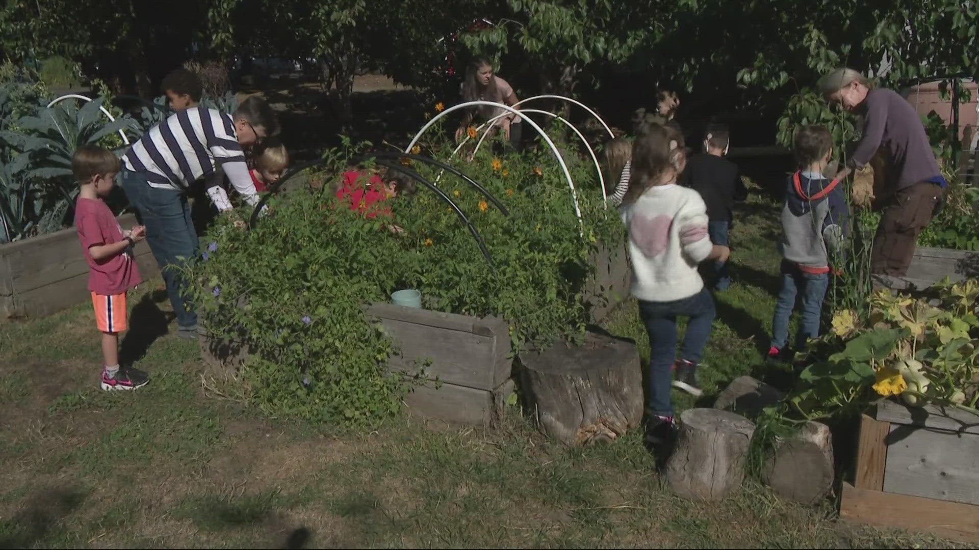Grant helps Southeast Portland elementary school revitalize its garden