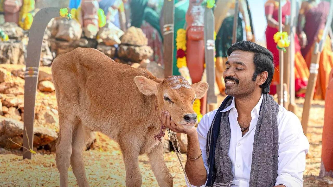 'Idli Kadai' box office collection day 3: Dhanush’s directorial holds ...