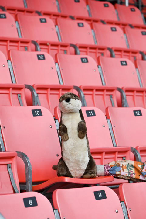 ‘Otterly obvious’: Lewis & Clark College moves away from ‘Pioneer’ mascot