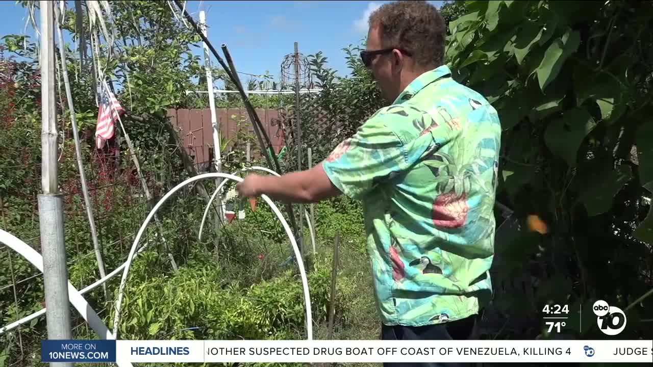 Community garden in jeopardy