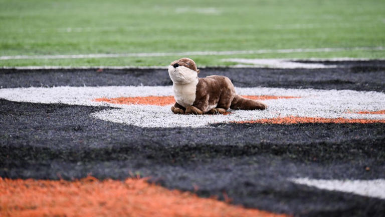 ‘Otterly obvious’: Lewis & Clark College moves away from ‘Pioneer’ mascot