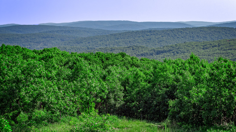Missouri's Scenic Byway Cuts Through The Ozark Mountains To Show Off ...