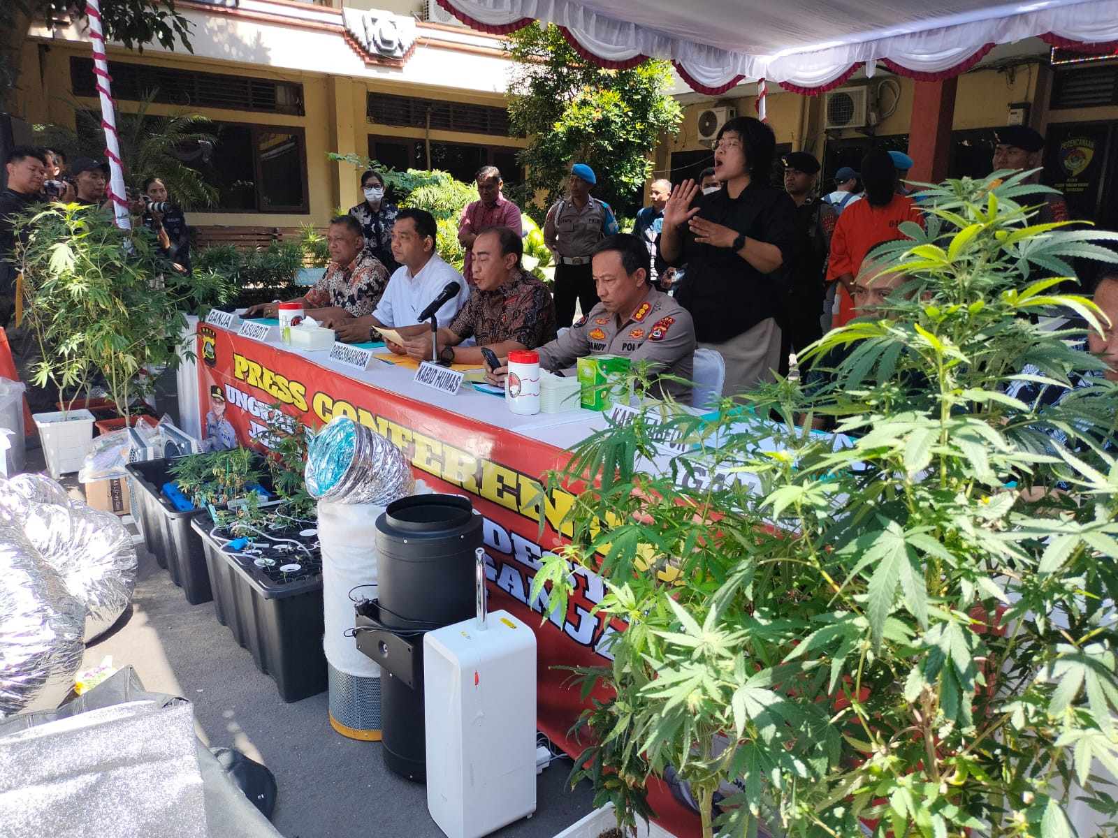 Polda Bali Buru Pemasok Ganja Pasutri WNA, Dipasok Mr C Sejak Mei 2025