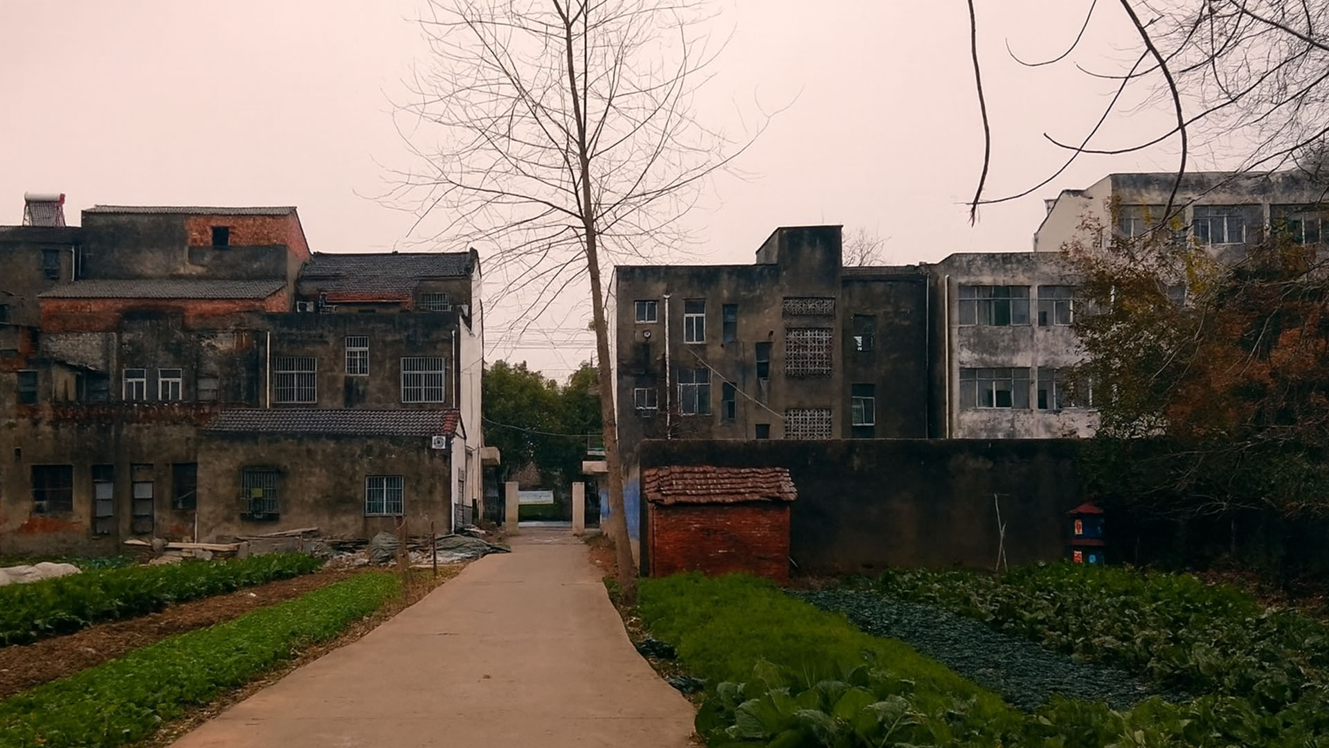 Calles tranquilas de un pueblo chino en 4K