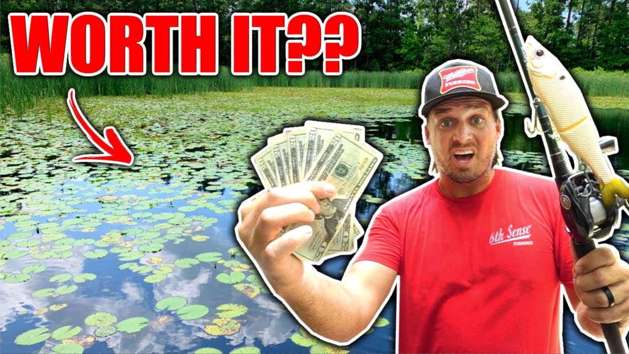 I paid 100 dollars to fish this lake, is it worth it?