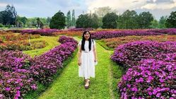 Taman Bunga Nusantara Surga Warna-Warni di Jantung Cianjur