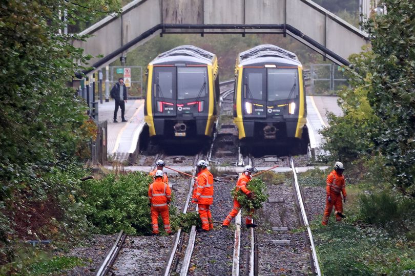 Merseyrail facing 'major disruption' as trees block three train lines