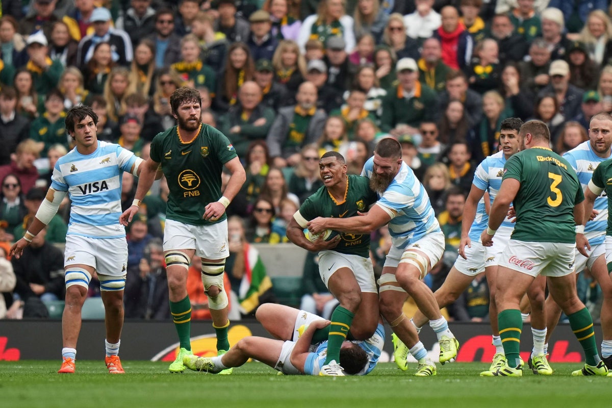 Argentina v South Africa live: Springboks survive brutal battle to win ...