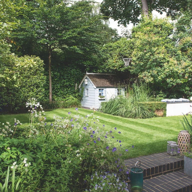 Experts are warning that overfeeding your plants can attract this pest ...
