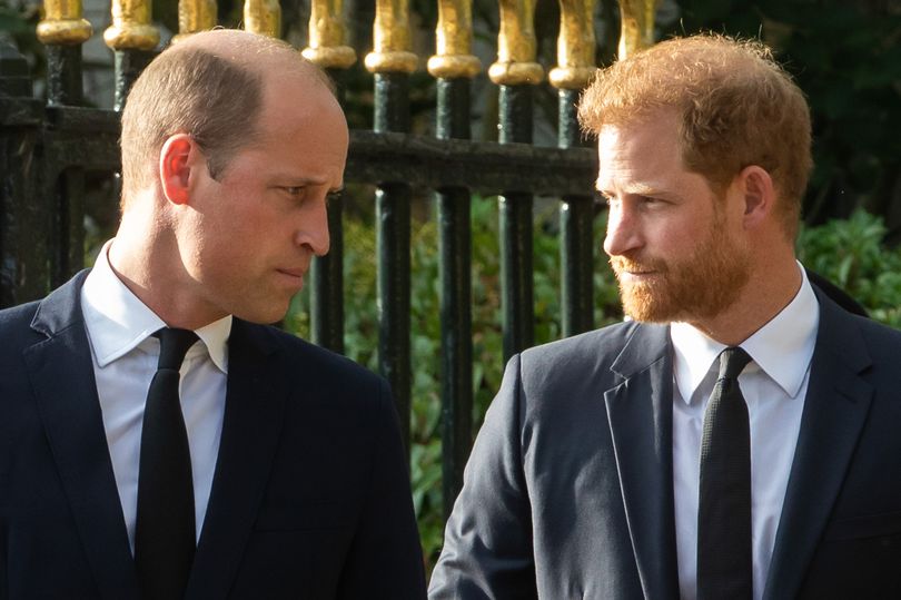 Prince Harry's bitter rift with Prince William 'triggered by brutal ...