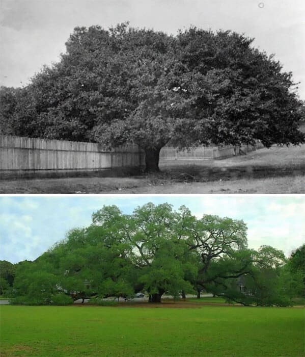 Photos That Show How Much Things Change Over Time