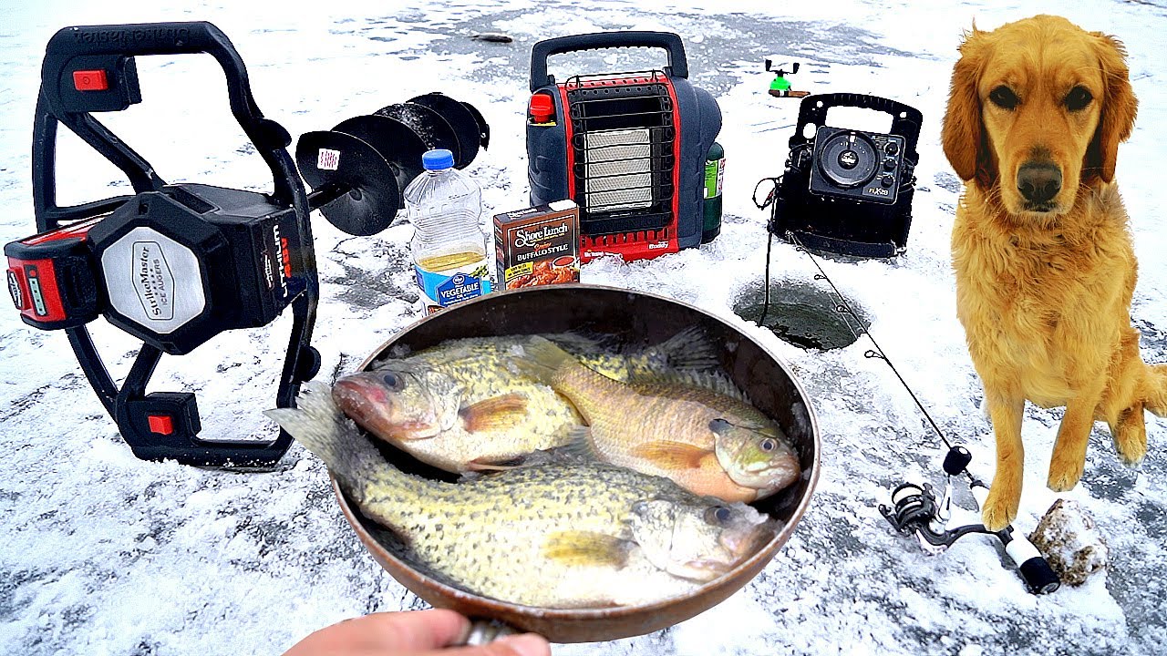 Catch and cook while fishing with my dog this weekend