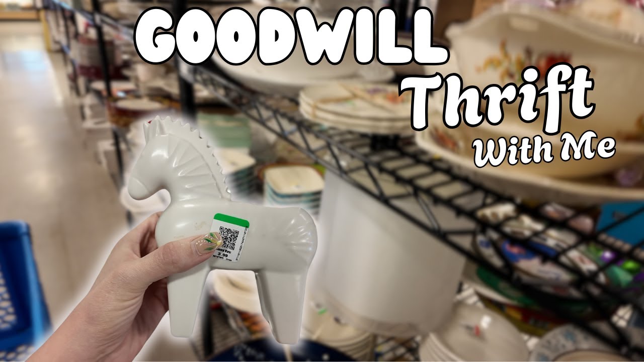 Why the Goodwill refused to sell me a moose