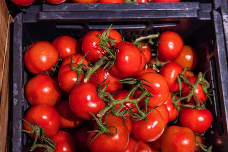 Food facts that made people stop mid-bite