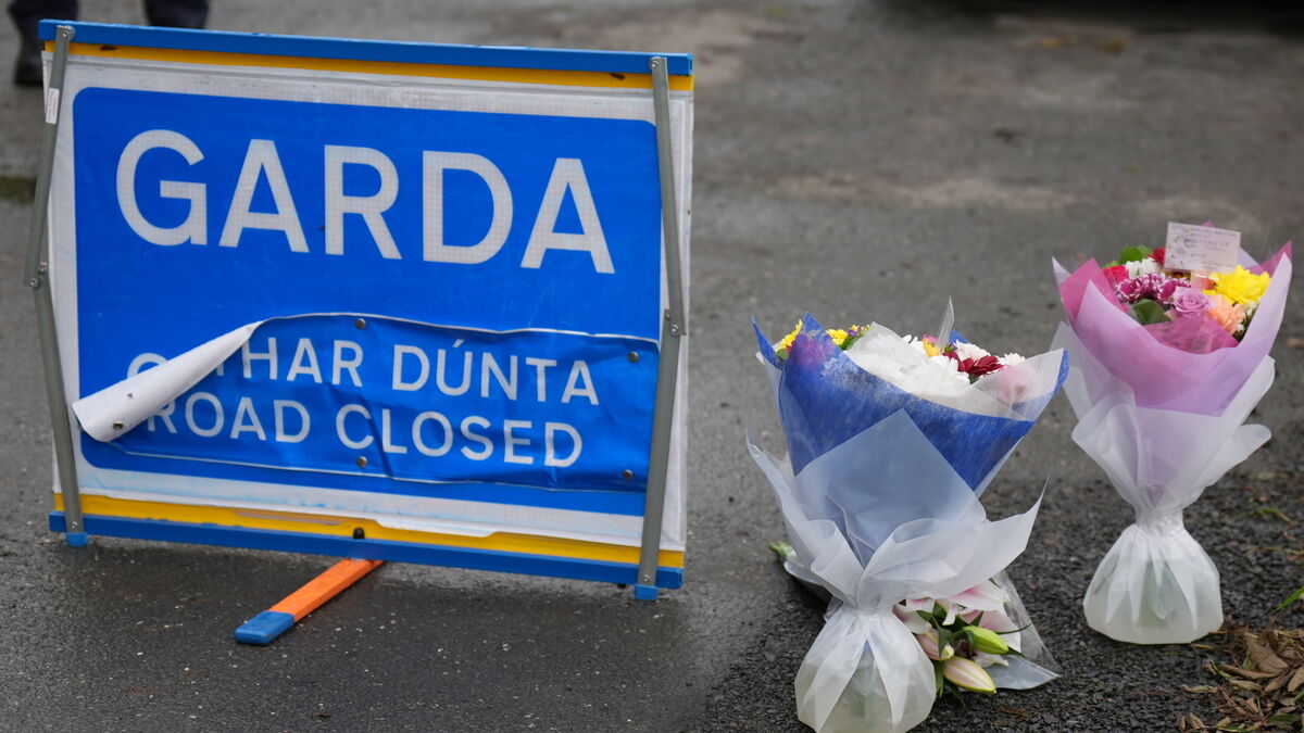 Funeral for murdered Louth trio to be held on Tuesday