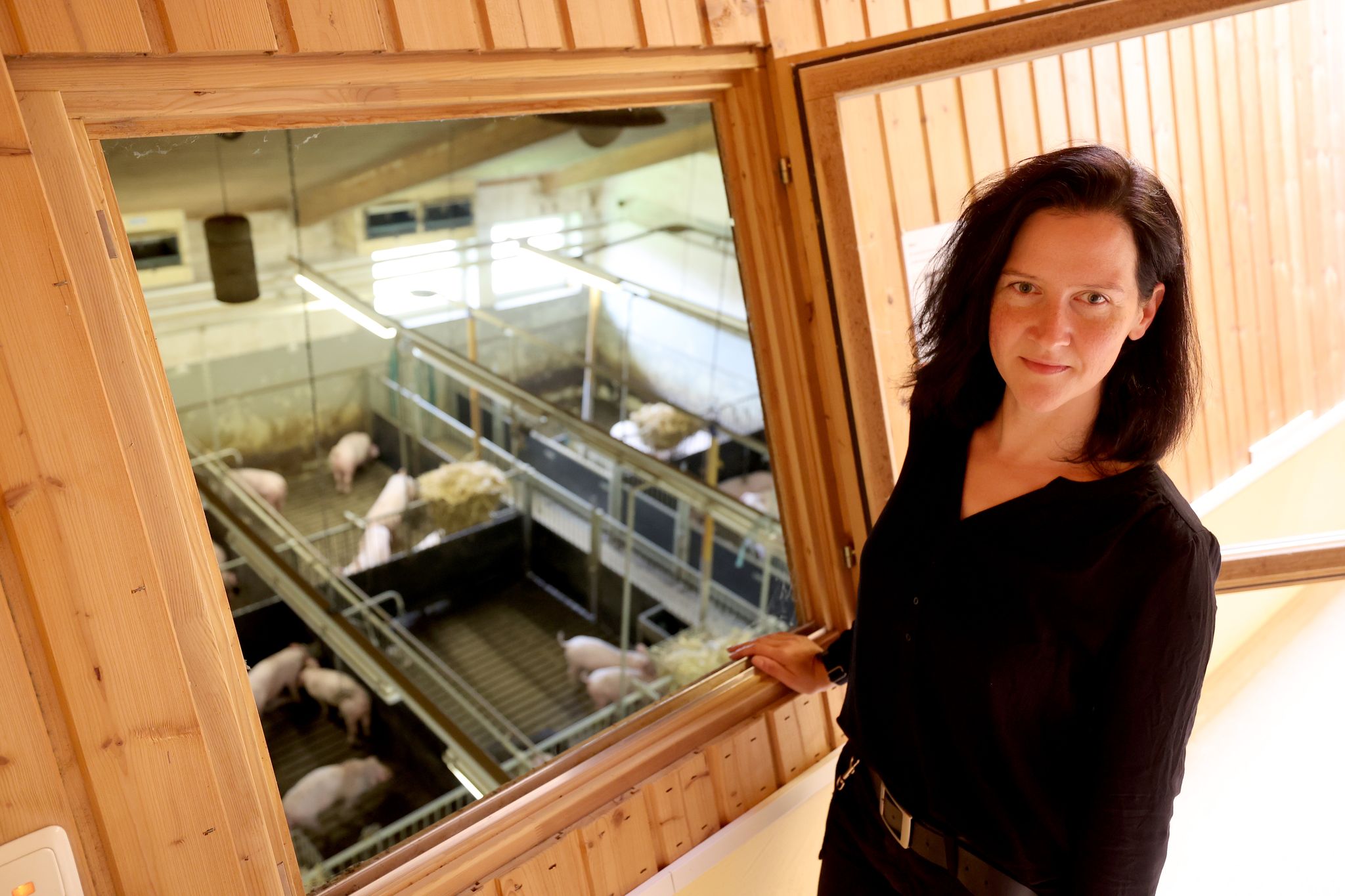 KI geht in die Schweinesprachschule - für mehr Tierwohl