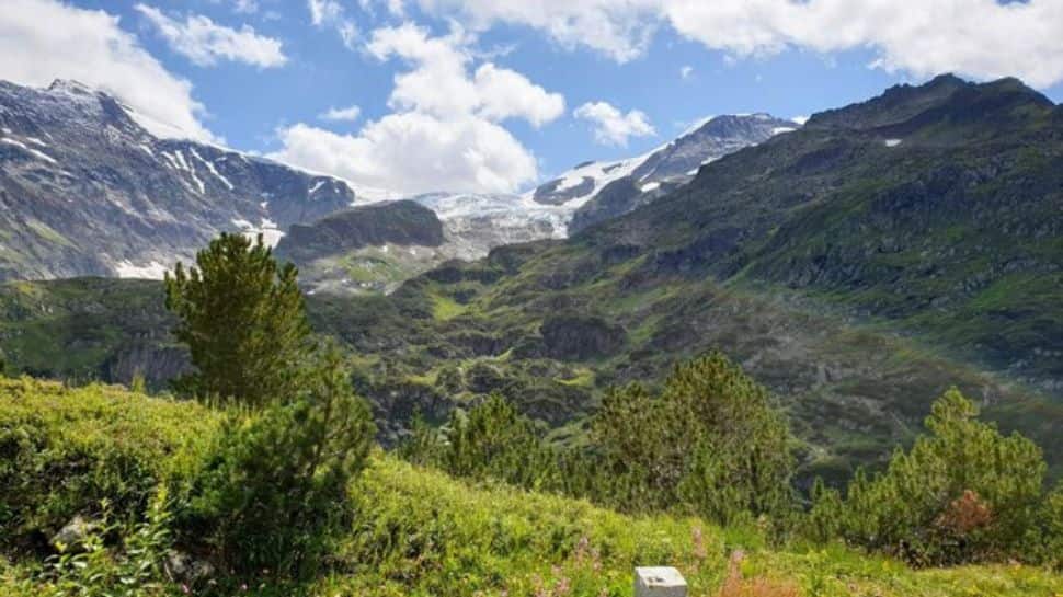 From Manali To Coorg: 5 Hill Stations In India To Experience Nature ...
