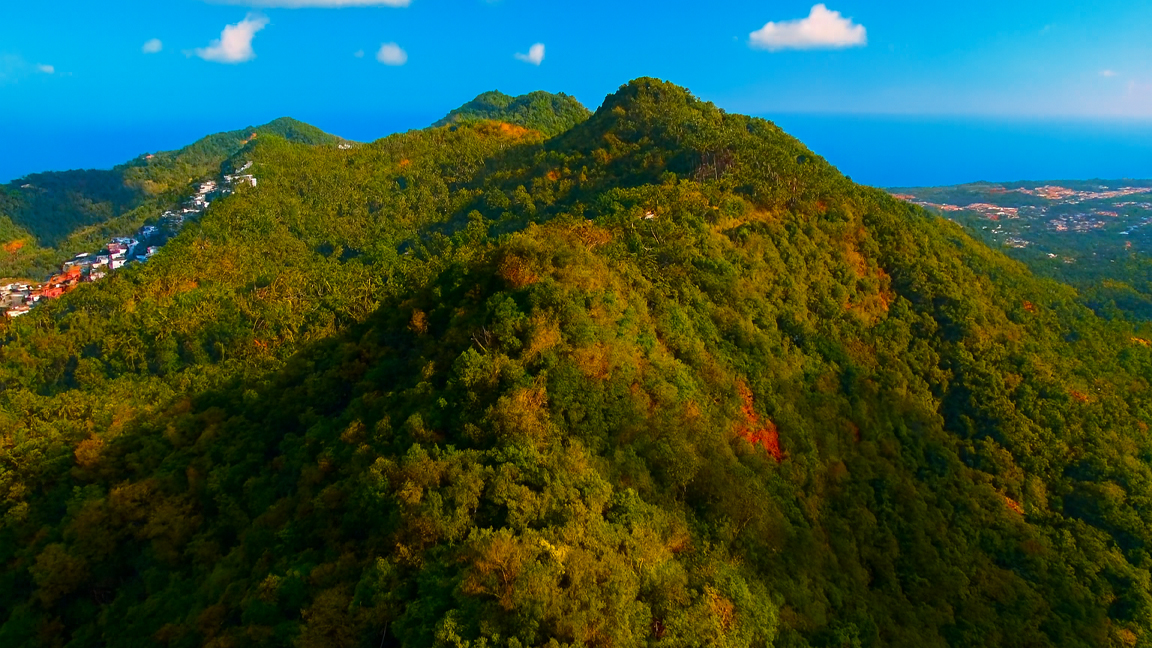 Colline Verdi e Orizzonte Blu in 4K