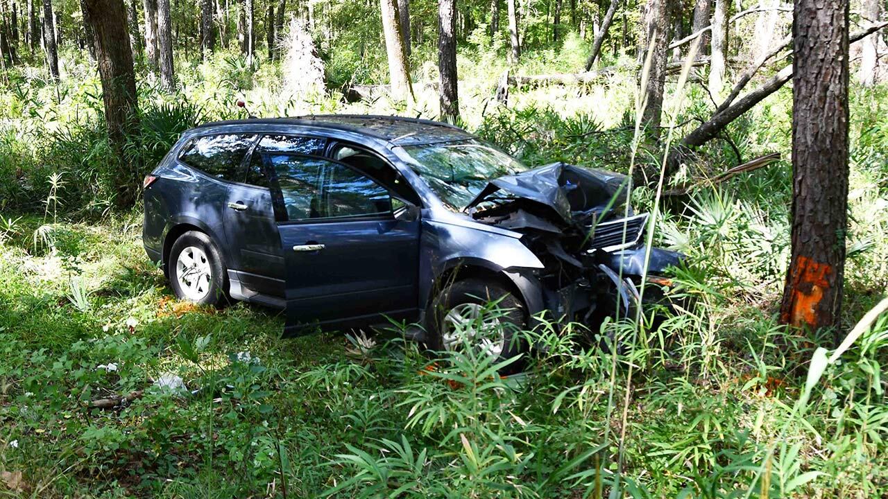 Woman in Colleton County hospitalized after crashing into tree ...