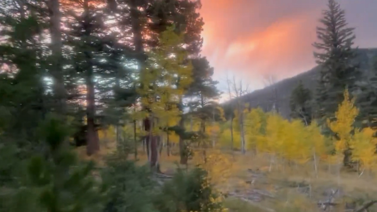 Biking through autumn forest at sunset in Colorado, USA