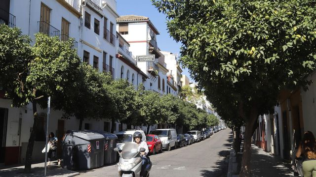Infraestructuras asfaltará la calle San Fernando la madrugada del domingo y Claudio Marcelo, en ...