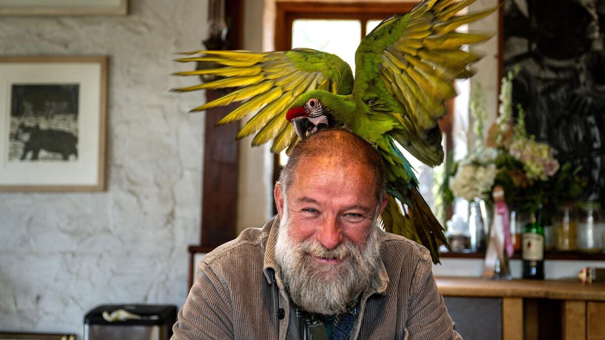 My Life with Andrew Boyle: My pet wallaby Dora ran away from home — a ...