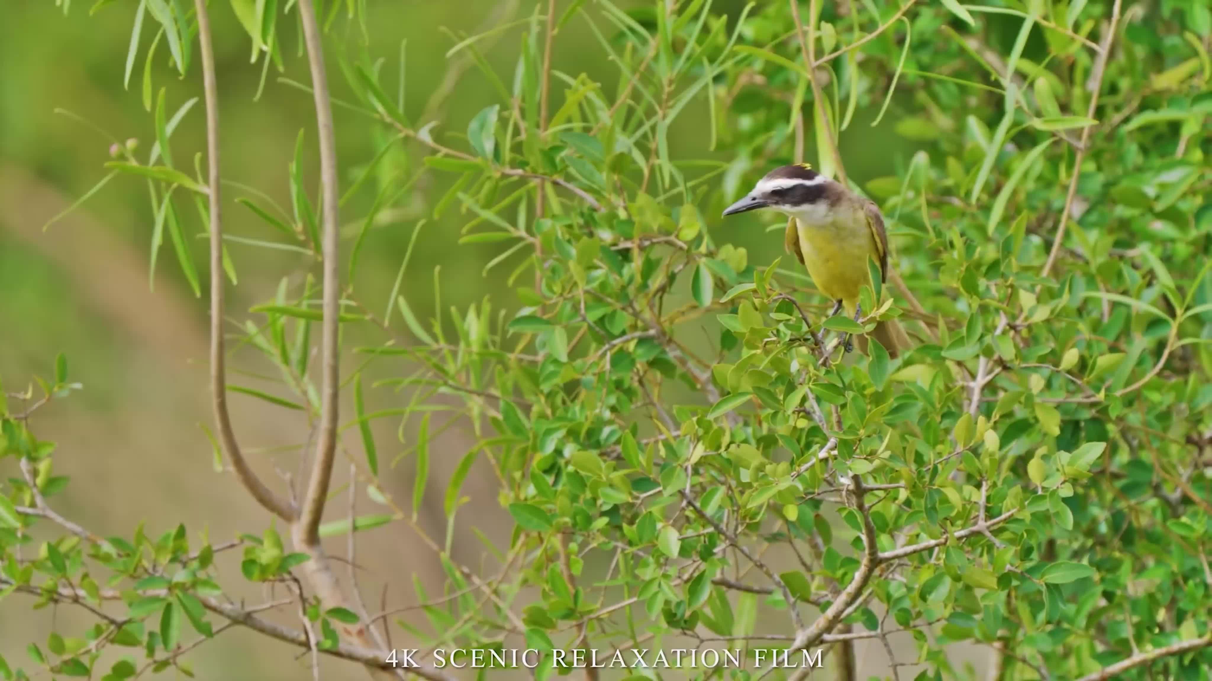 De Zevenkleurige Heuvel in Purmamarca – Argentinië’s Kleurrijke Landschap
