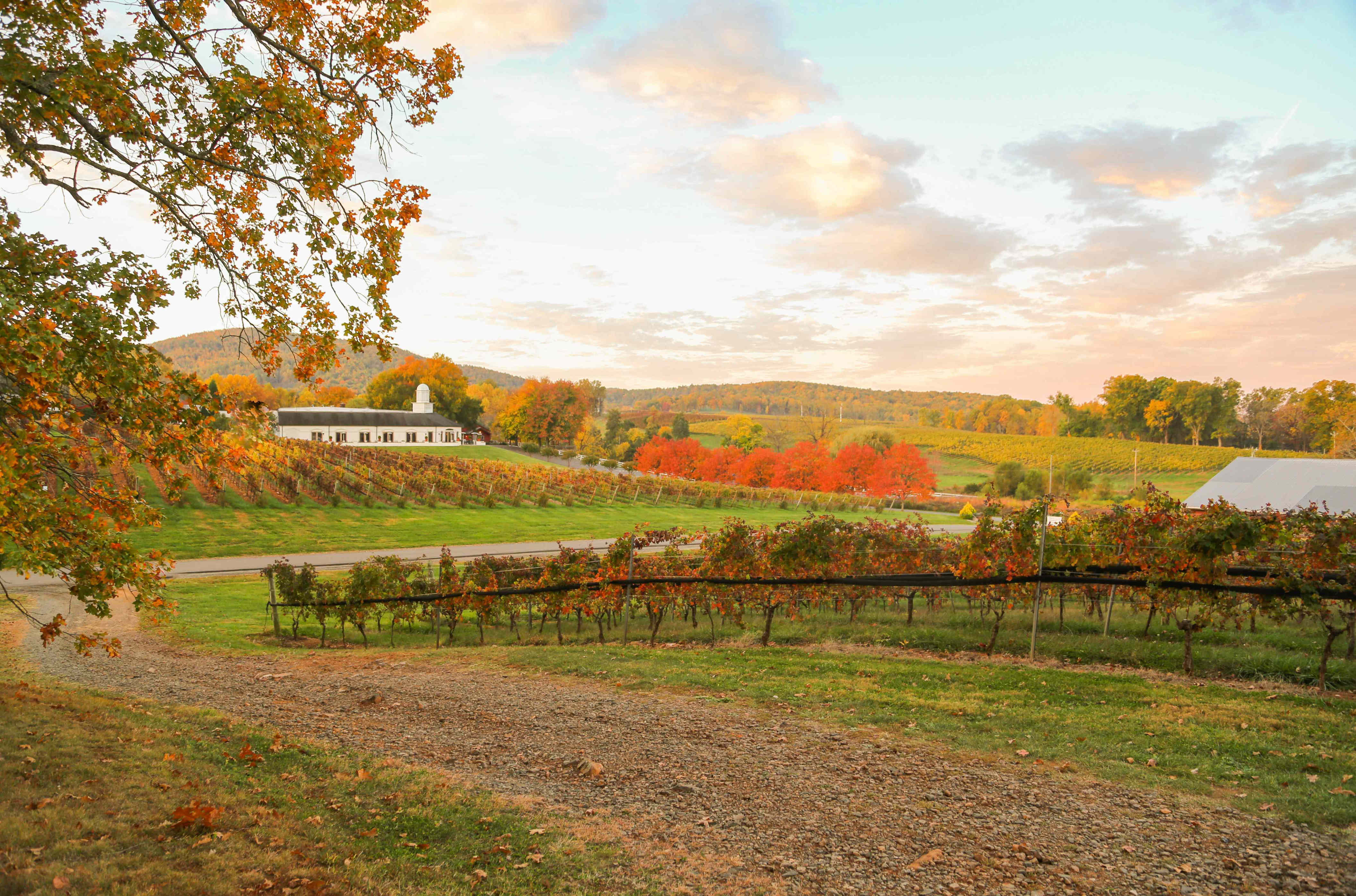 This friendly Virginia town has mountain views and the best little Main ...
