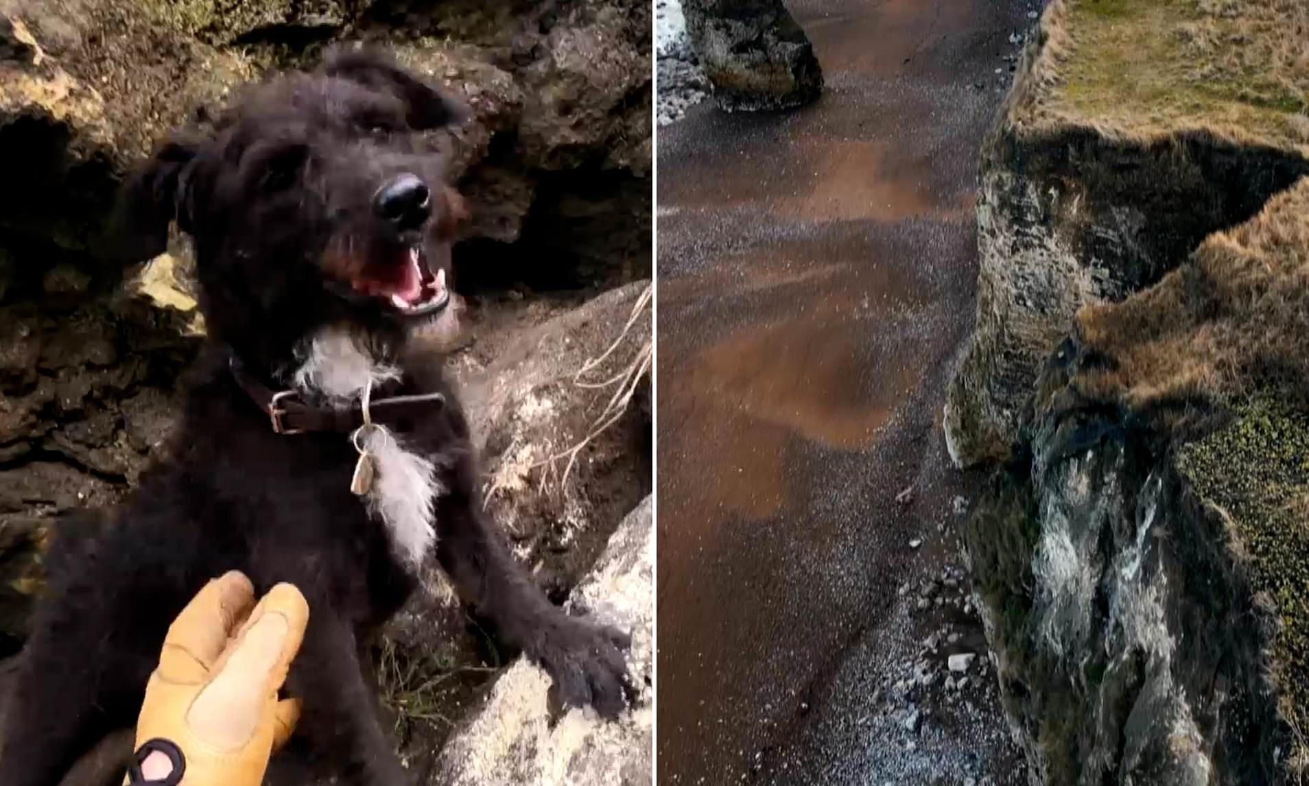 Dramatic moment Coastguard launch rescue bid to save dog who fell off ...