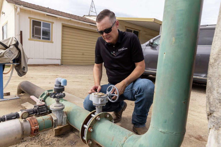‘They're everywhere': Rodent boom overwhelms California farms