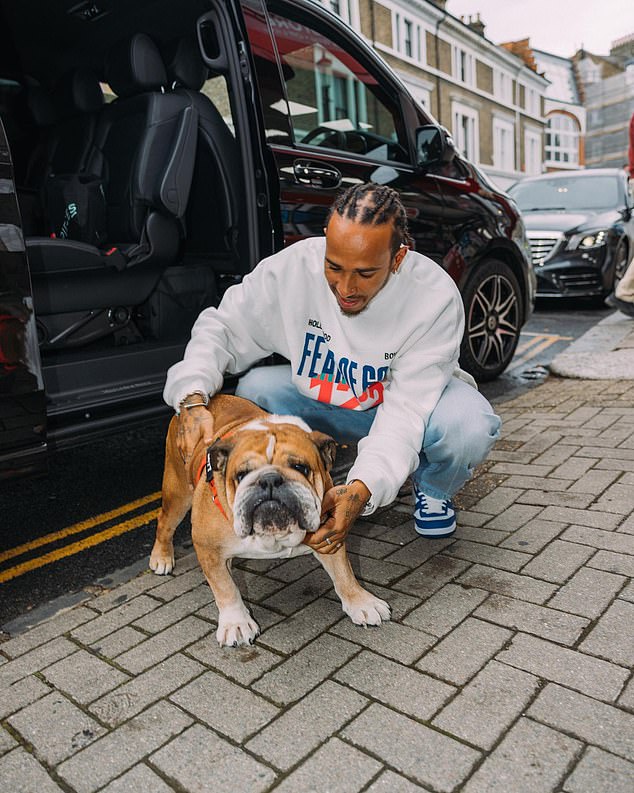 Hamilton's life after Roscoe: F1 icon prepares for race in Singapore ...