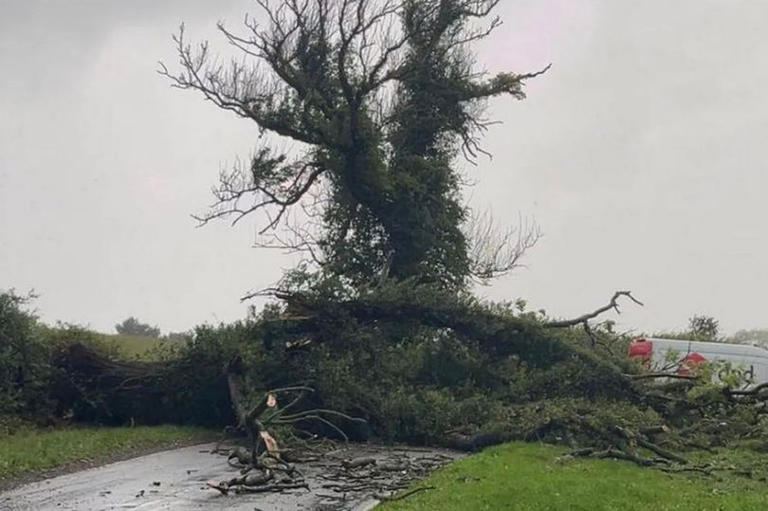 Met Office urges public to prepare emergency kit as Storm Amy wipes out ...