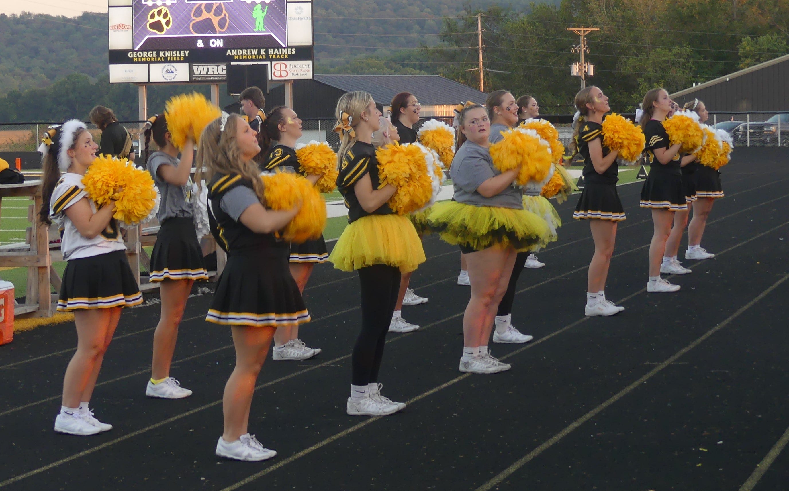 Which area high school cheerleading squad is the best? Vote here for ...