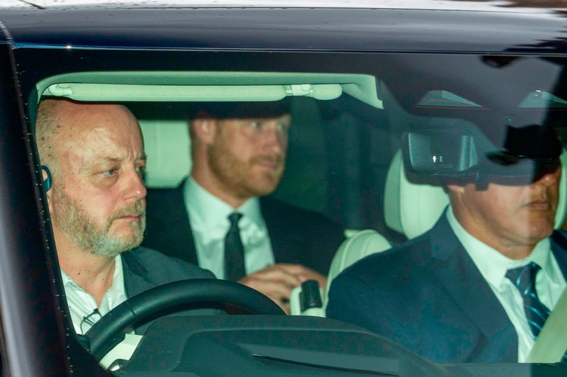 Prince Harry 'fell into trap laid by enemies with trademark angry outburst'