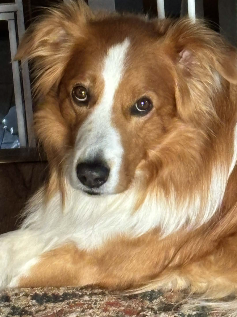 The Wonder of a Nature Photo