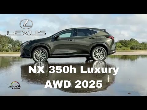 Lexus NX 350h luxury AWD 2025, luxury and hybrid power, the best of ...