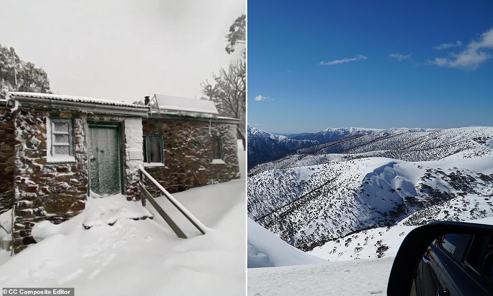Two women found dead in remote Victoria bushland