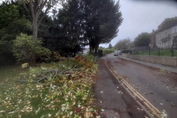 Council clear away fallen trees in gale force winds