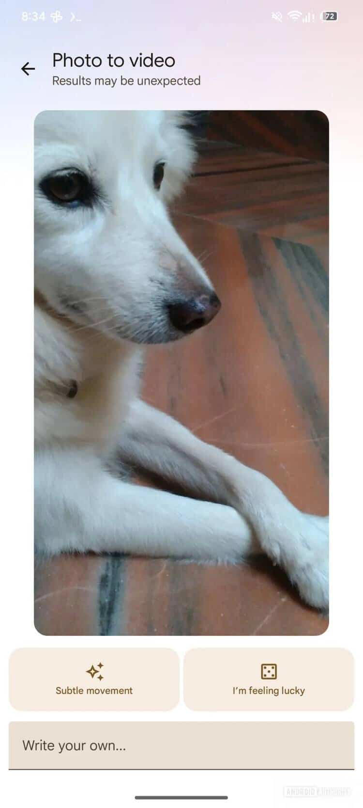 Google Fotos vai receber função secreta com IA! Como funciona?