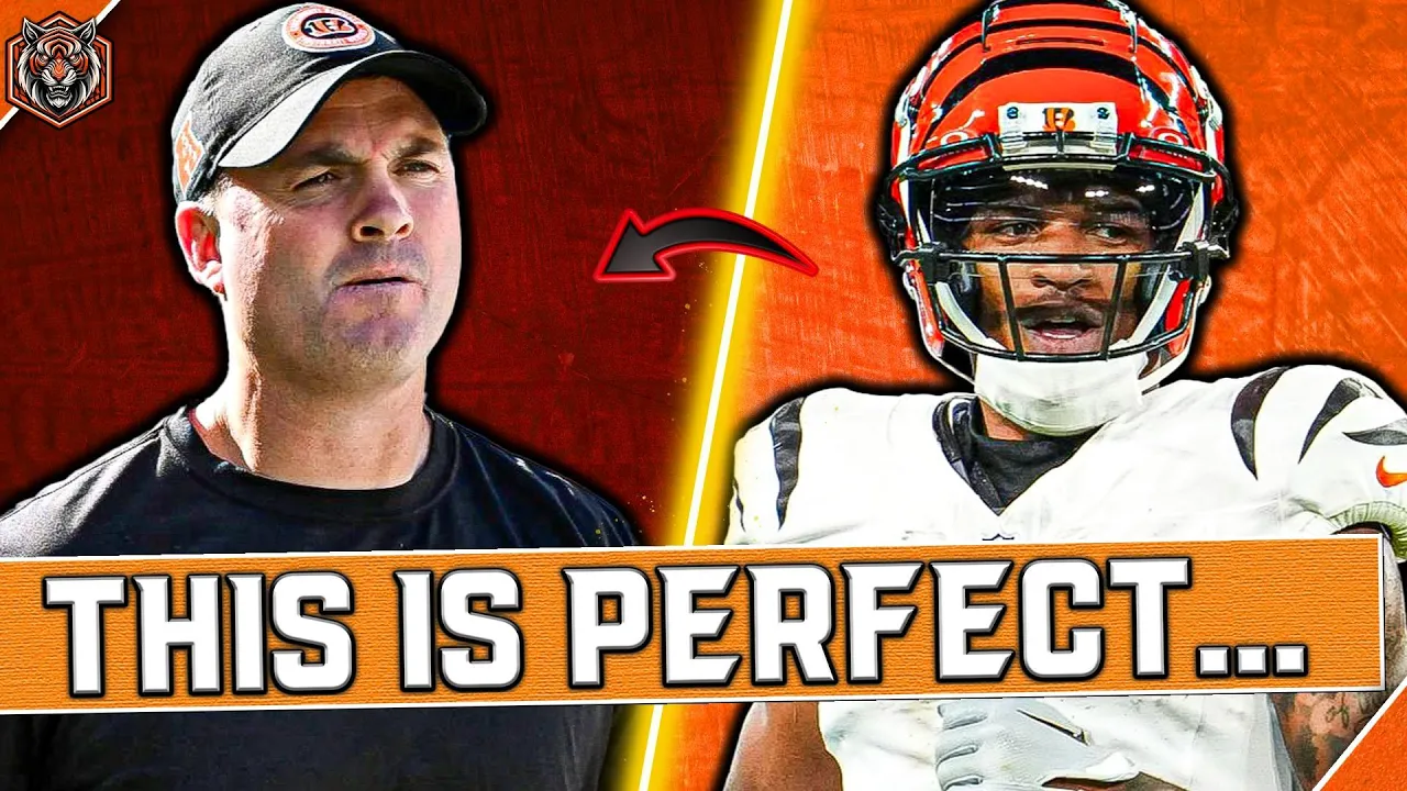 This is EXACTLY what the Bengals needed... | Cincinnati Bengals News