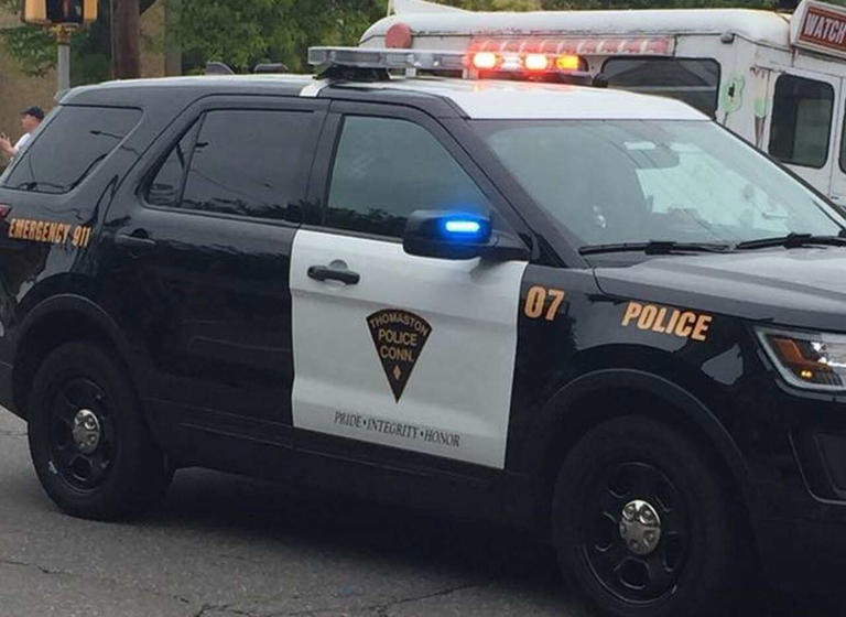 Cub survives after being struck by a vehicle in Thomaston, police say