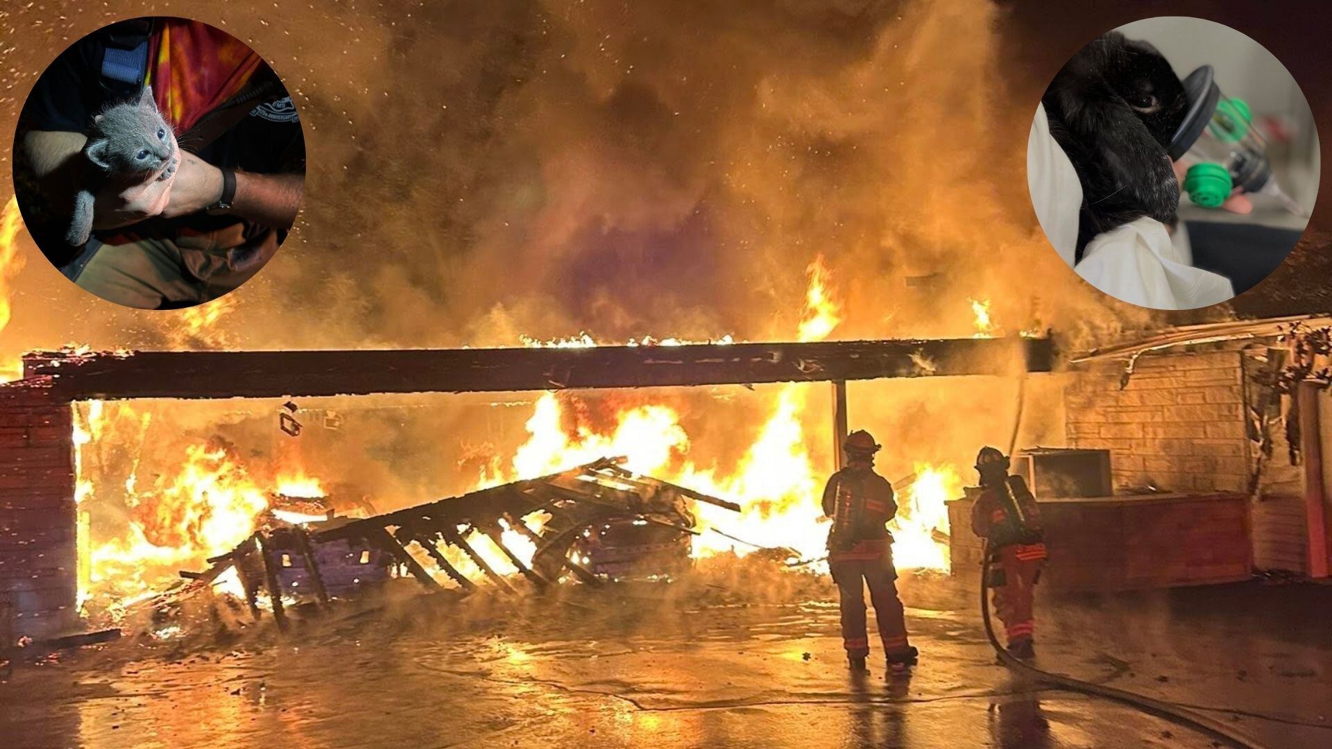 Fire kills 5 kittens, severely damages Kentucky home, officials say